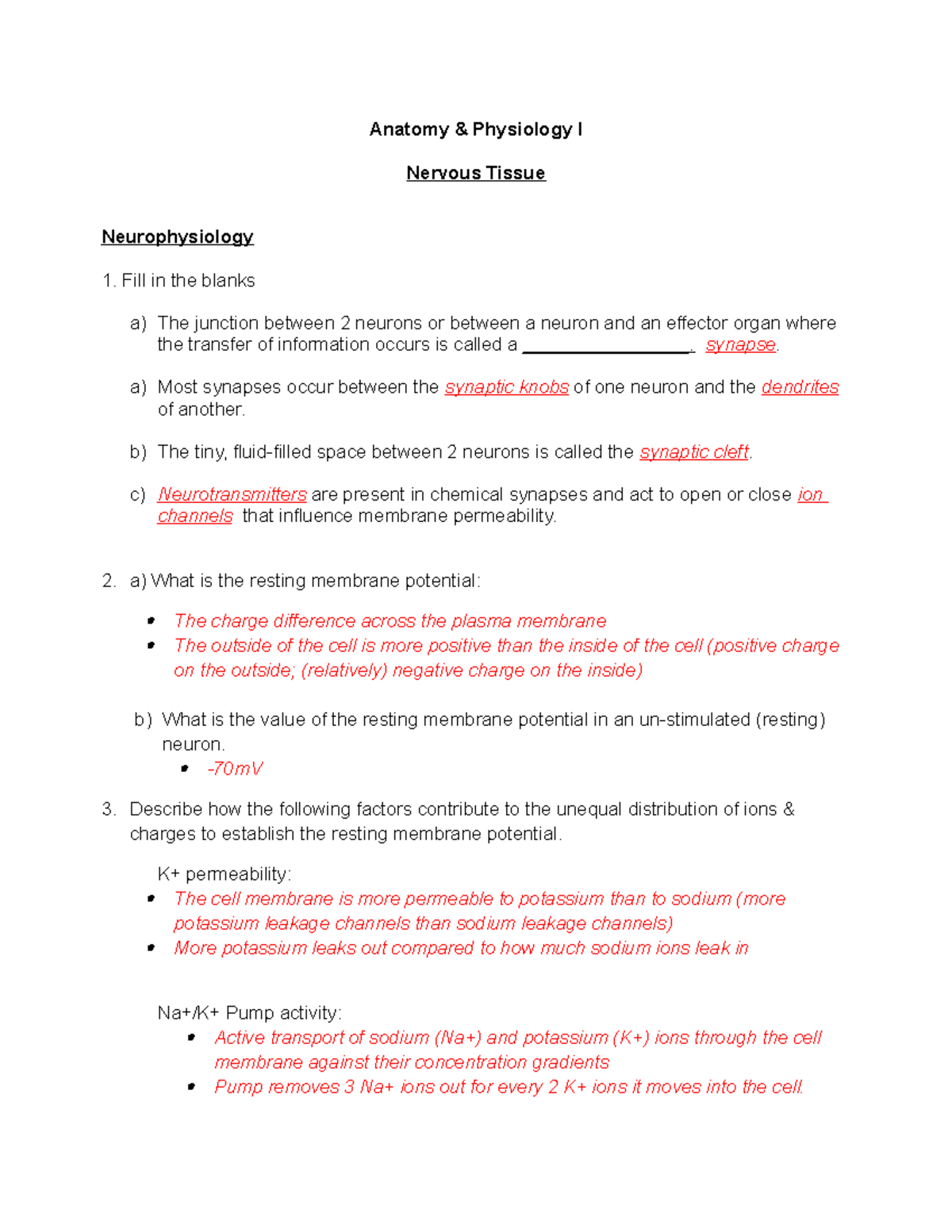 Anatomy Physiology I Nervous Tissue Neurophysiology - Studocu