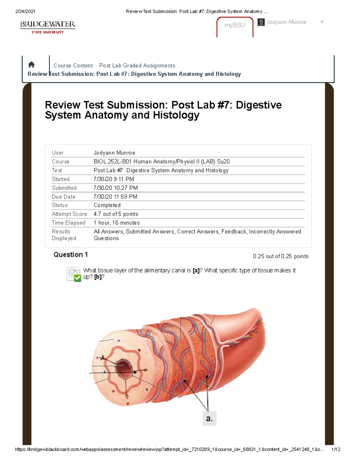 Review Test Submission Post Lab #7 Digestive System Anatomy - - Studocu