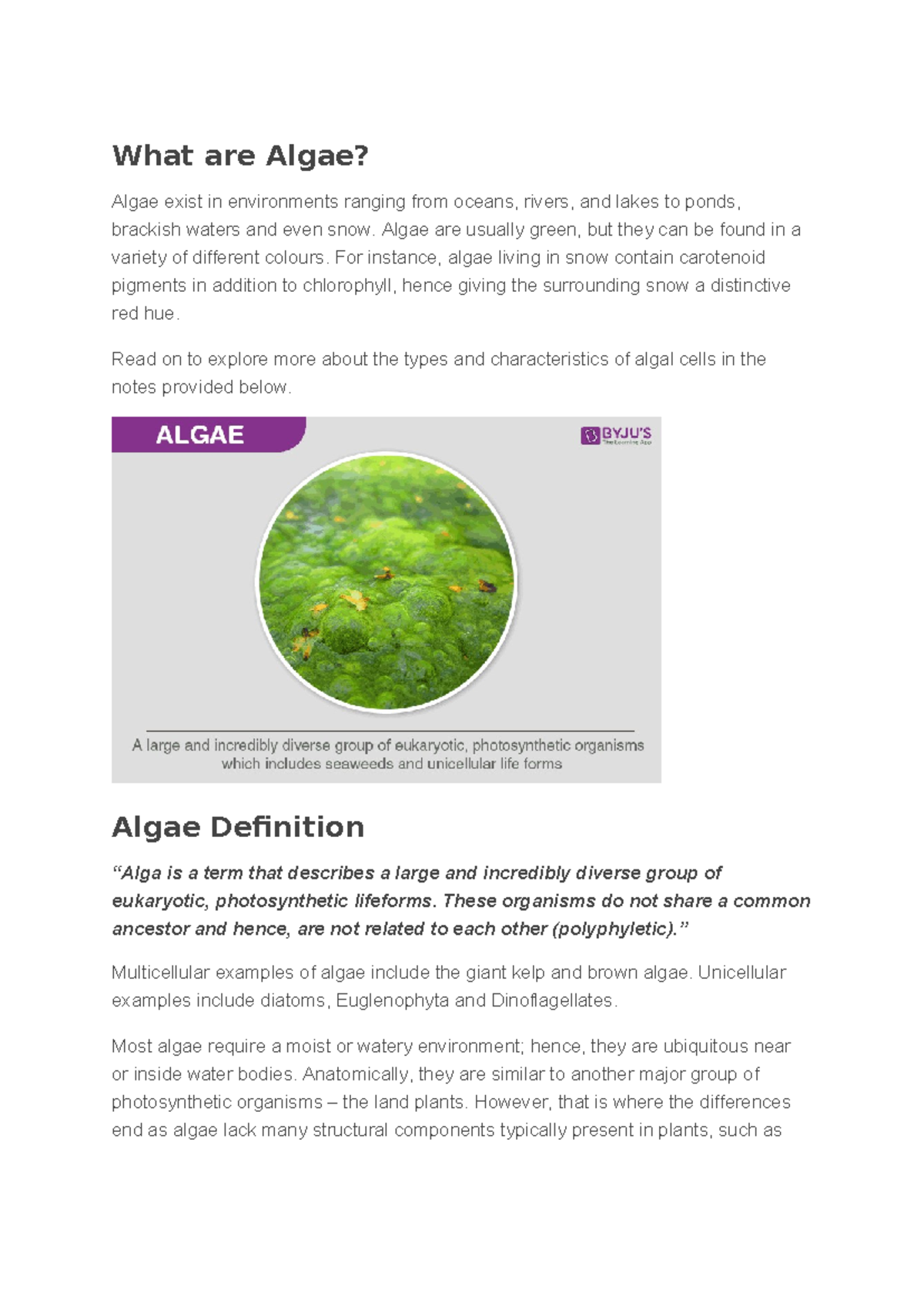 Algae - What are Algae? Algae exist in environments ranging from oceans ...