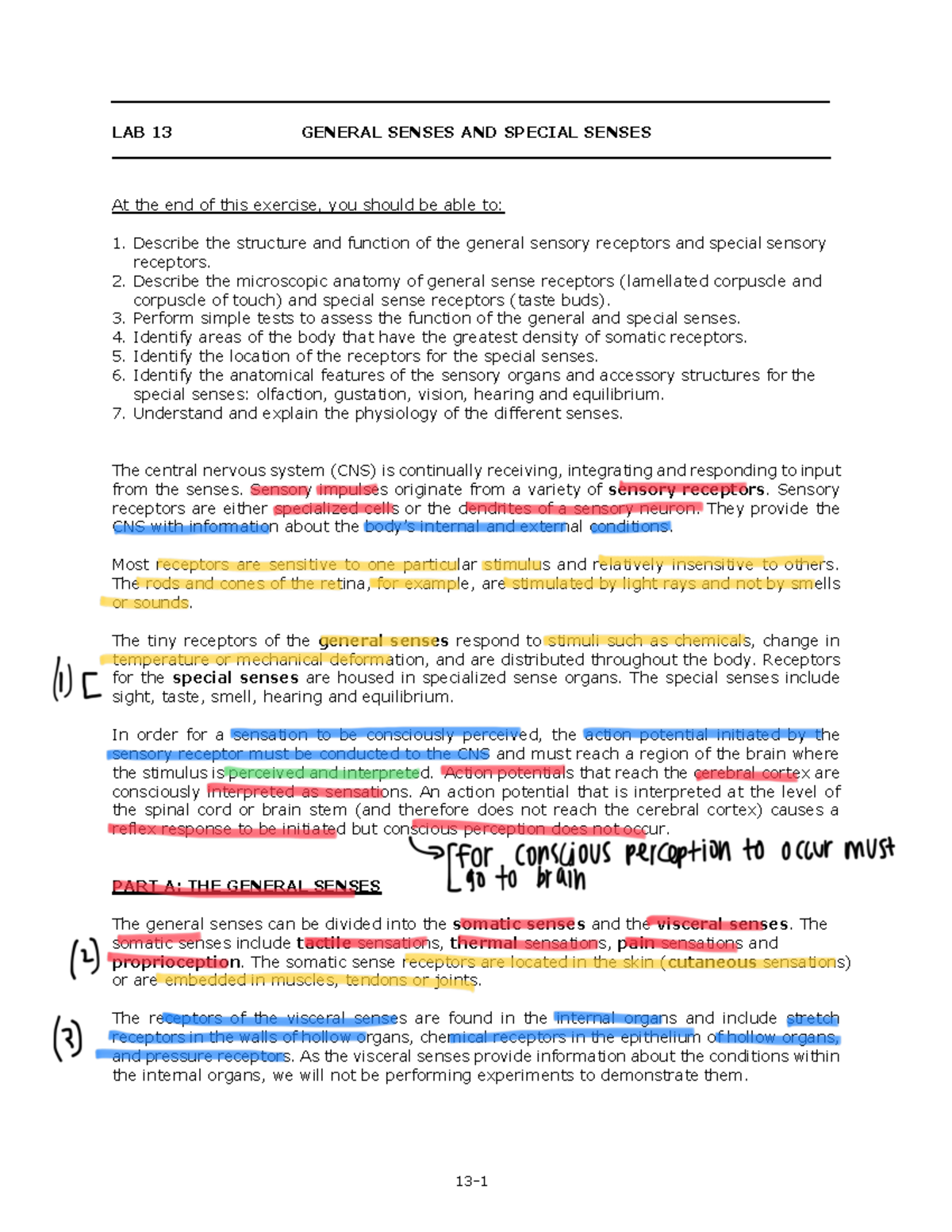 LAB 13 General AND Special Senses 2023 1 - LAB 13 GENERAL SENSES AND SPECIAL SENSES At the end ...