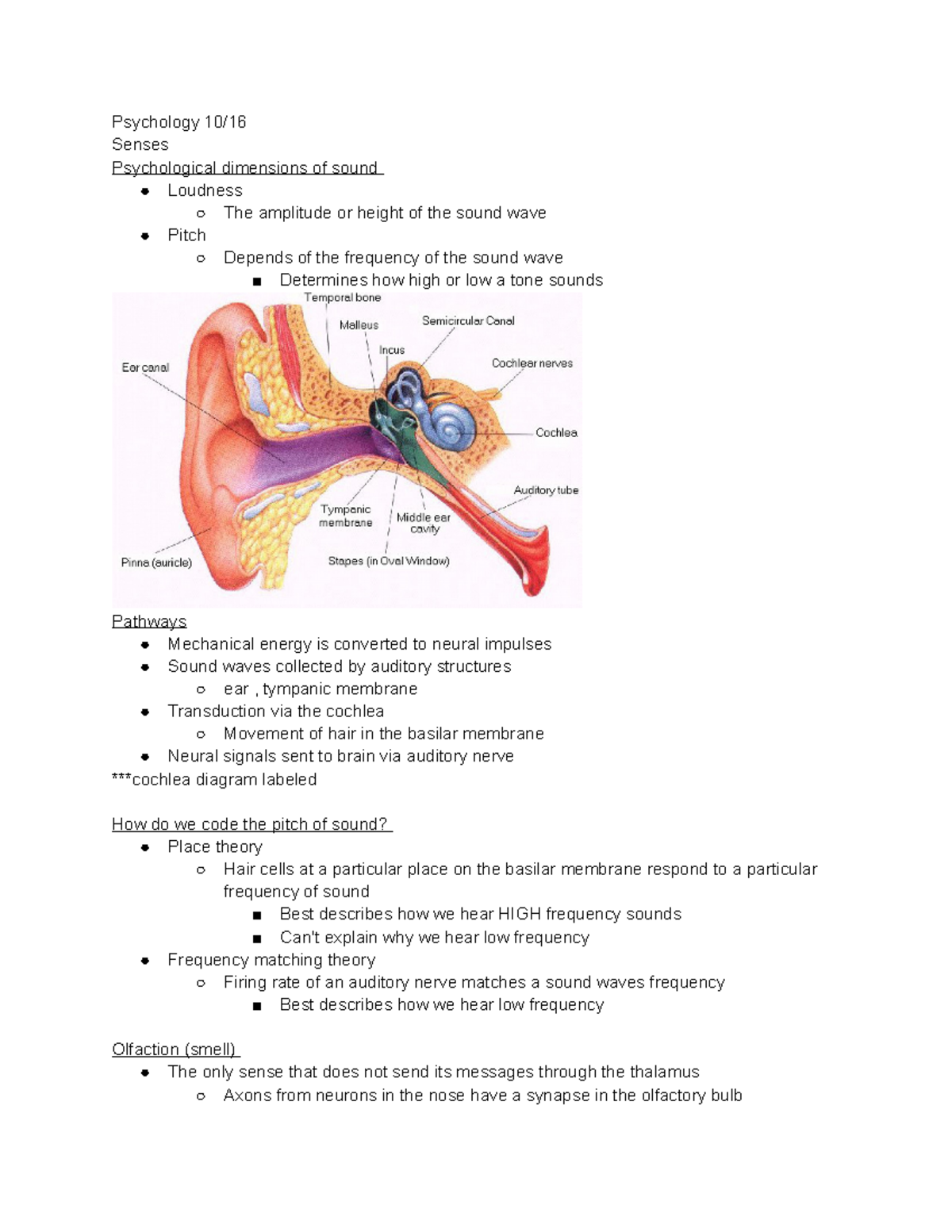 Psych 10 16 - Exam 1 - Psychology 10/ Senses Psychological dimensions ...