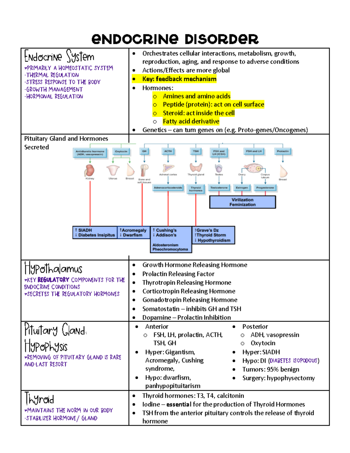 Endocrine Disorder study notes - Endocrine disorder Endocrine System ...