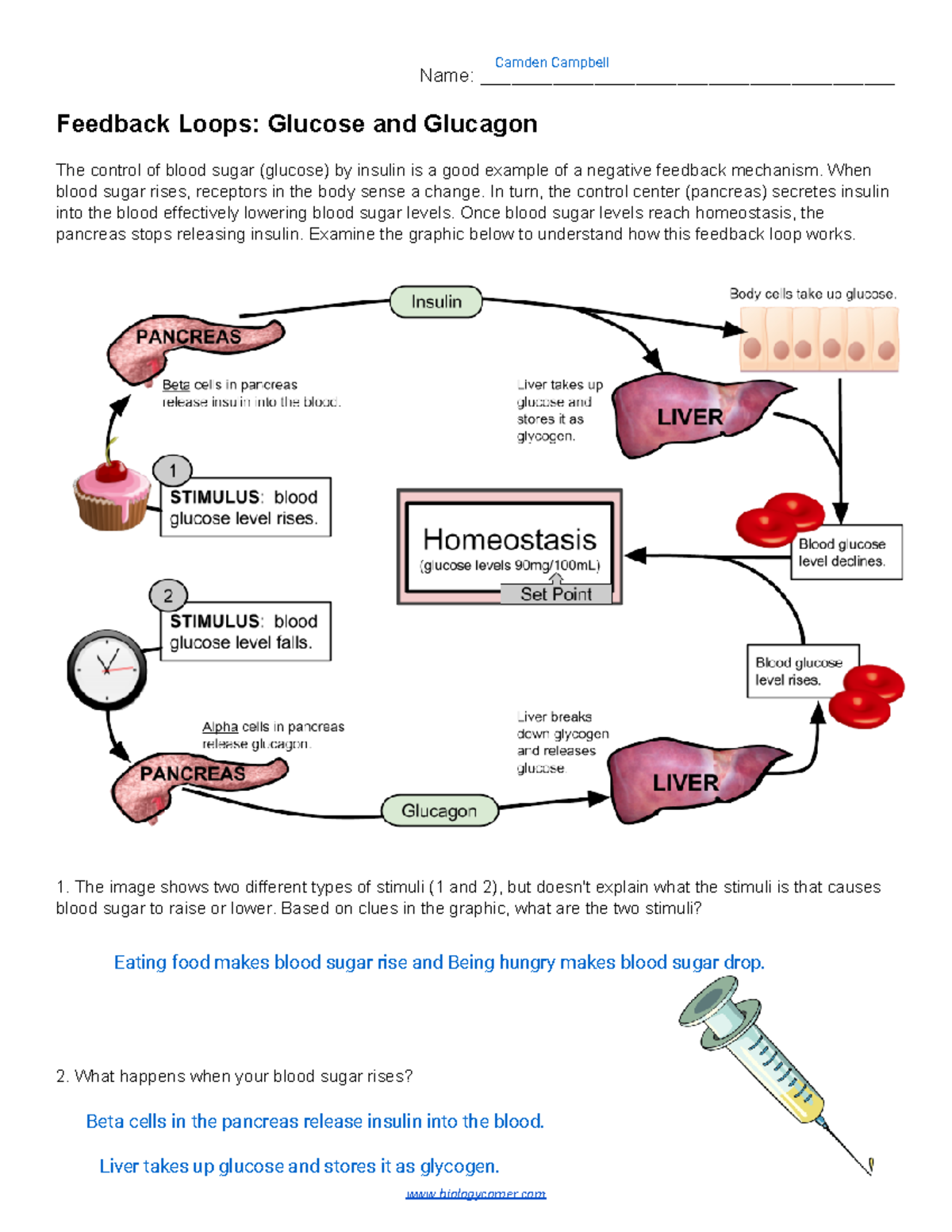 Henry Campbell - Glucose and Glucagon Worksheet - Name