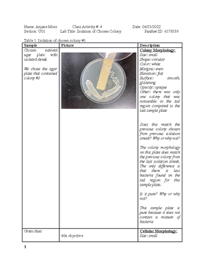 Class Activity 3 Template (Spring) - Class Activity 3 Review of ...