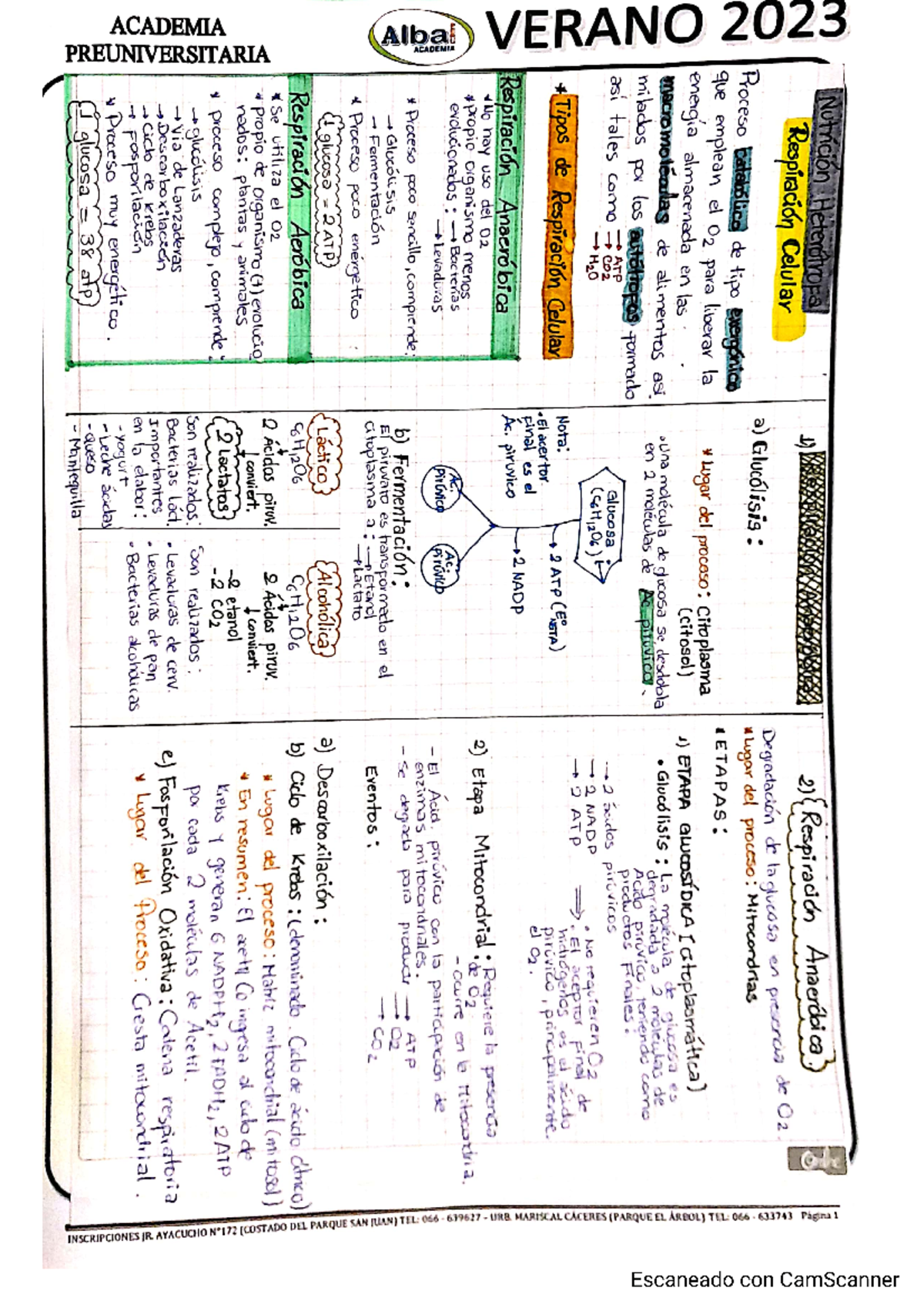 # Chuletas 03-03 - HISTORIA - Studocu