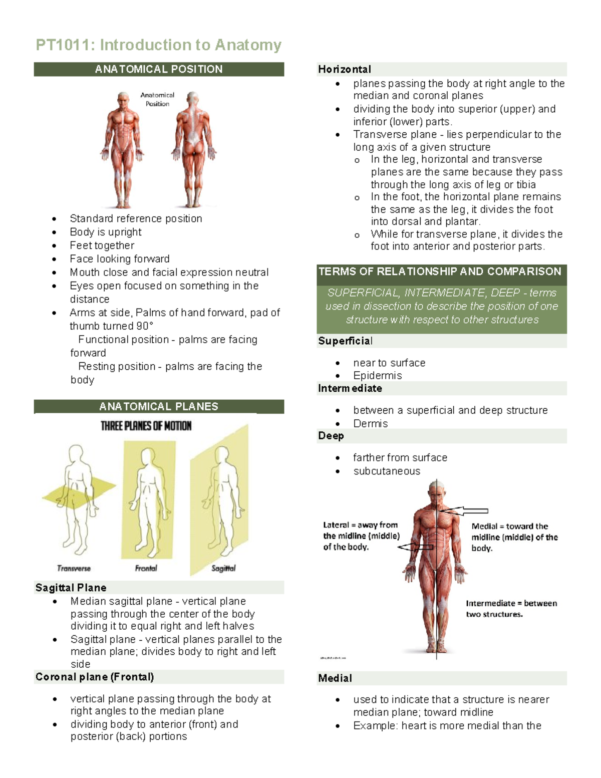 TOPIC 1: INTRO TO ANATOMY - ANATOMICAL POSITION Standard reference ...