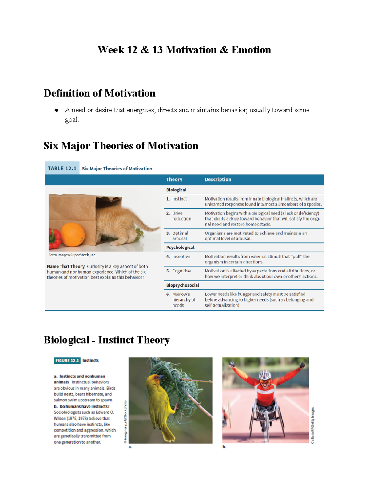 Untitled document - motivation and emotions notes - Week 12 & 13 ...
