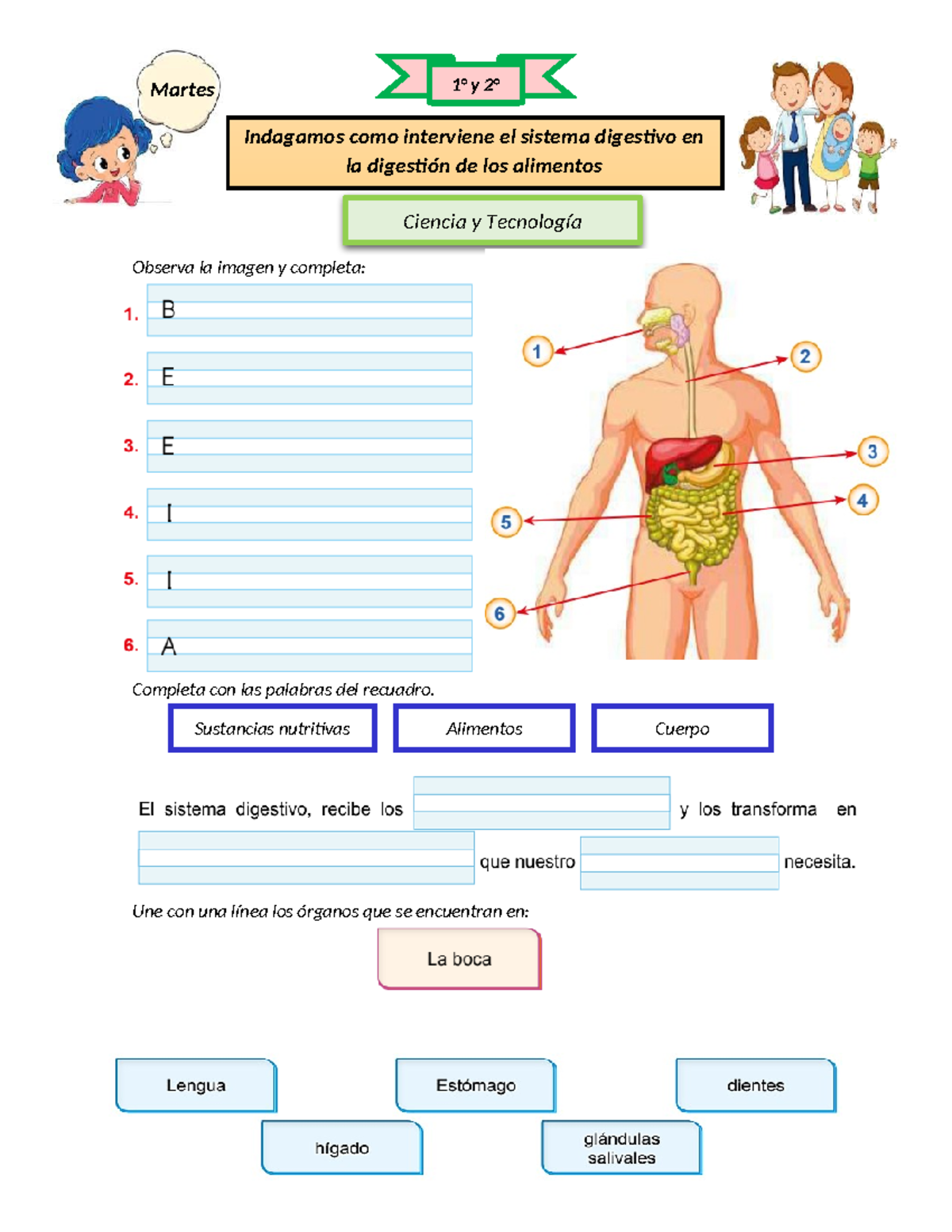1° y 2° Ficha Sistema Digestivo - Ciencia y Tecnología - Observa la ...