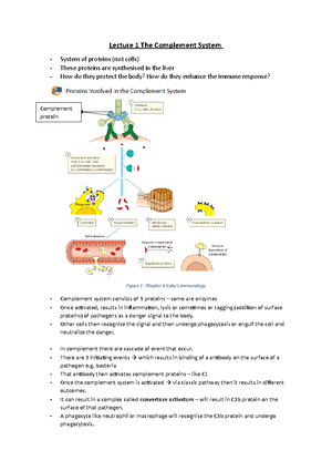 Lecture 2 the three complement pathways - The 3 main complement ...