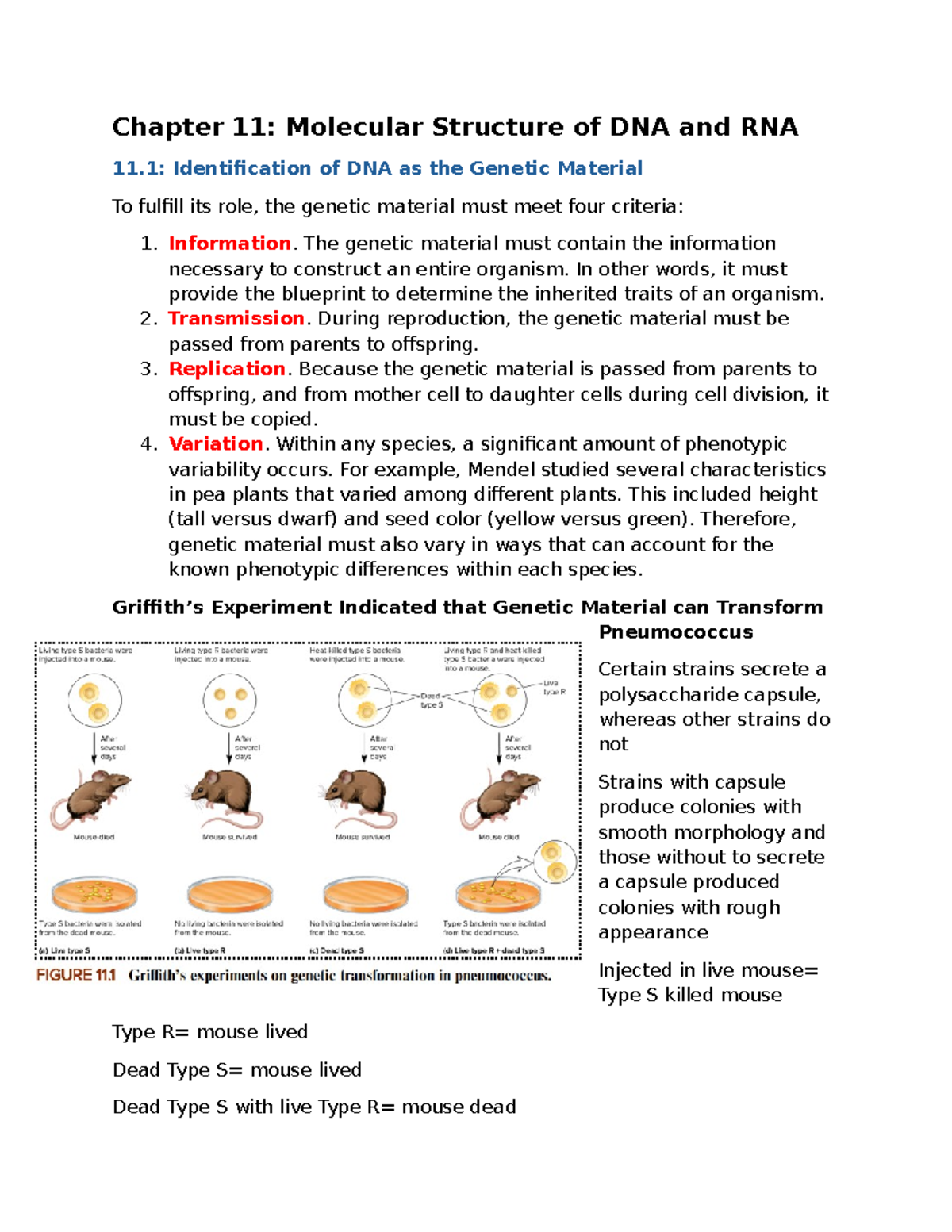 Exam 1 Mbios 301 Notes - Chapter 11: Molecular Structure of DNA and RNA ...