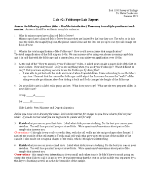 Lab #3 Enzyme Activity Lab Report - Sophia Doebbert Biol 1100 – 31 32 ...