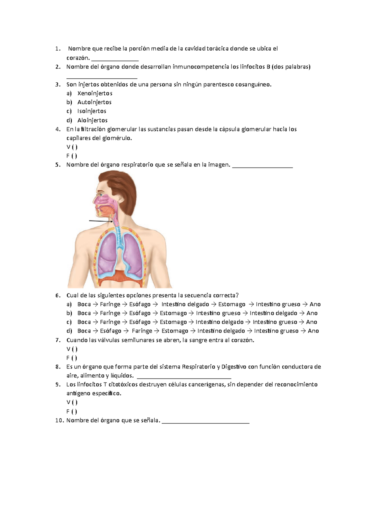 Bio E3 - Examen 3.2 - Nombre que recibe la porción media de la cavidad ...