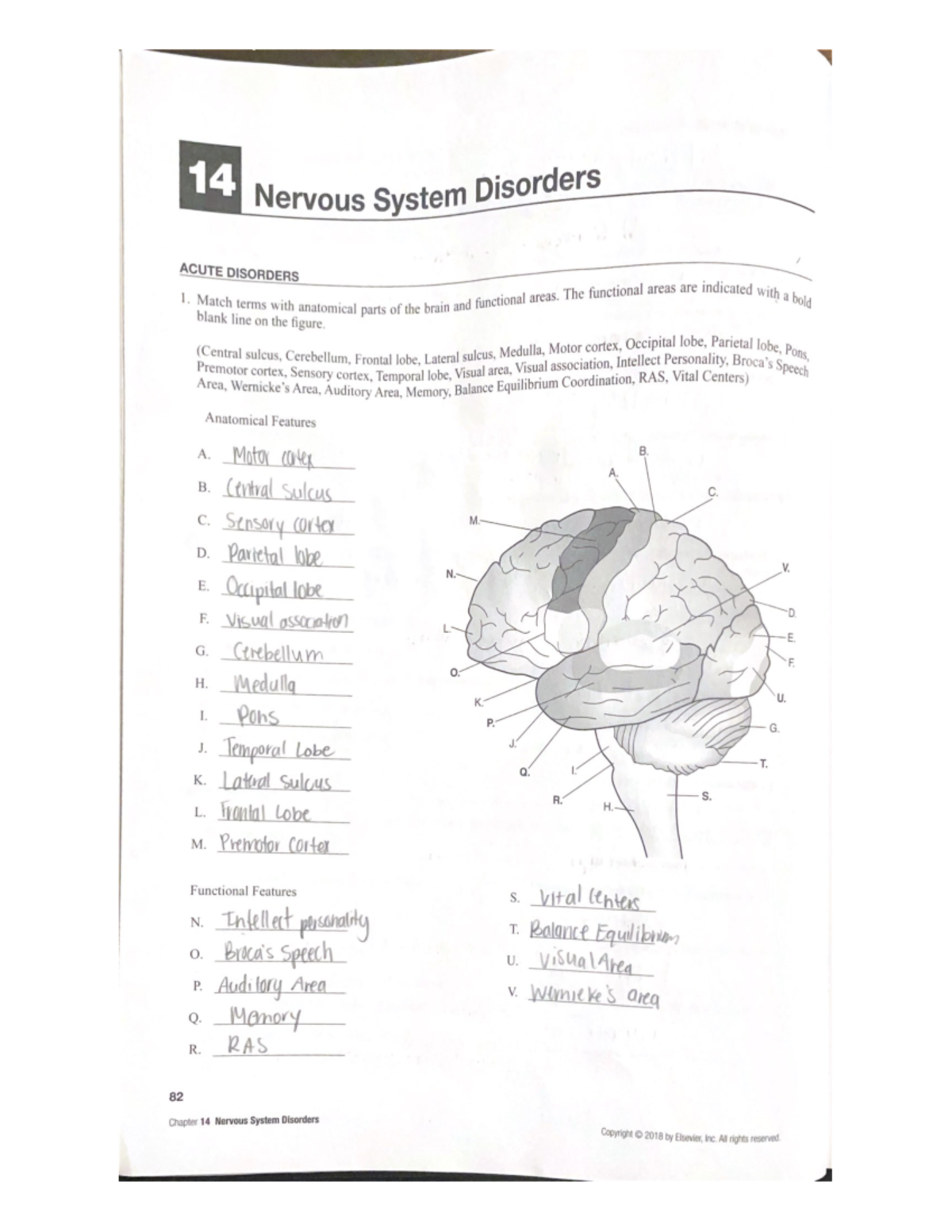 Study Guide Nervous System Disorders - NSG 3213 - Studocu
