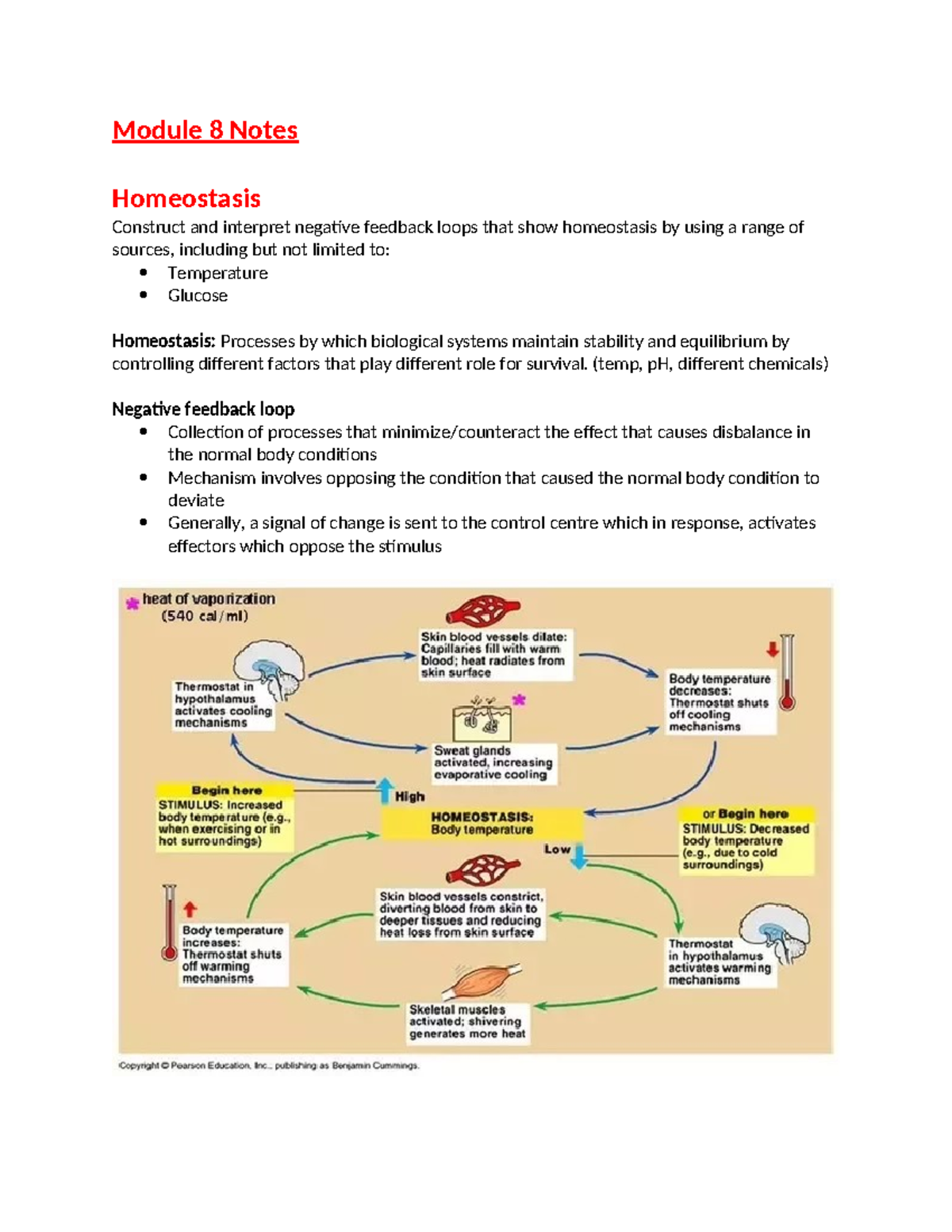 Module 8 Notes - Module 8 Notes Homeostasis Construct and interpret ...