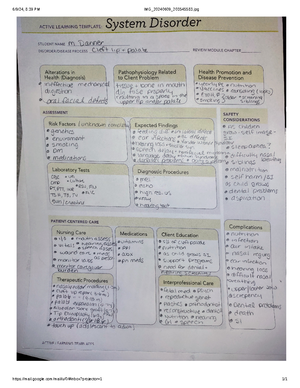 System Disorder template on Spina Bifida, ATI template - ACTIVE ...
