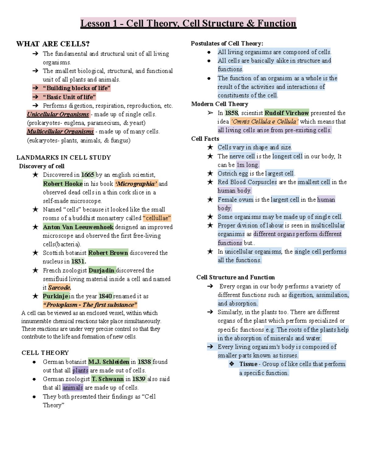 Lesson 1 - SENIOR HIGH SCHOOL - WHAT ARE CELLS? The fundamental and ...