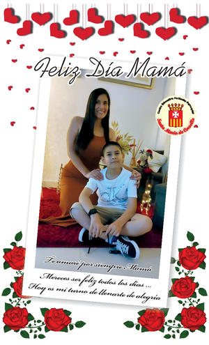 Secciones - Anotaciones - ELEVACIÓN PENDIENTE COTA RASANTE COTA ...