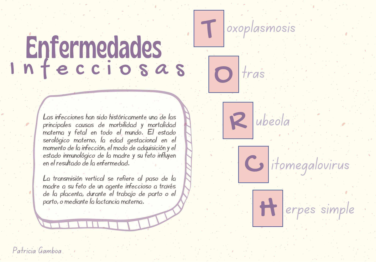 Torch resumen - Patty - Enfermedades infecciosas - Medicina - Studocu