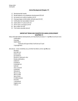 Biology ECG Lab Report - Recording an ECG Introduction An ...
