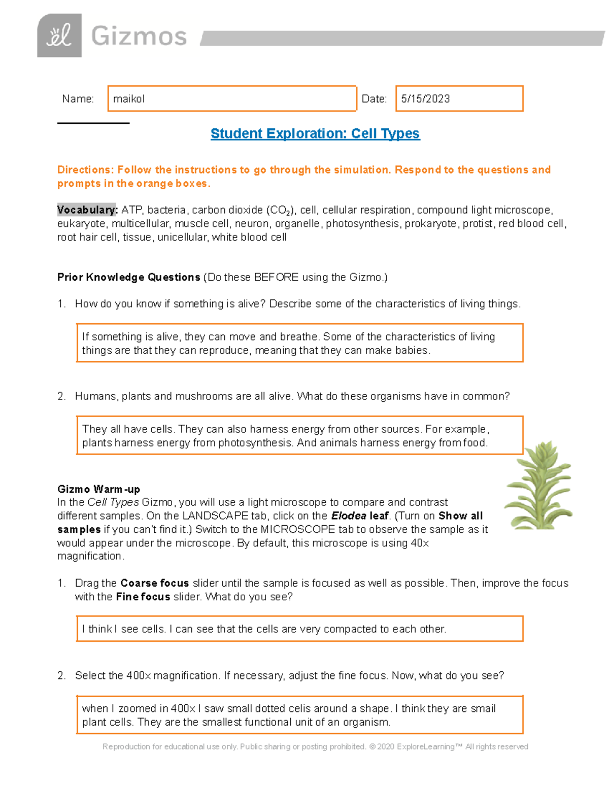 Copy of Cell Types SE - jl lknk,j, - Name: maikol Date: 5/15/ Student ...