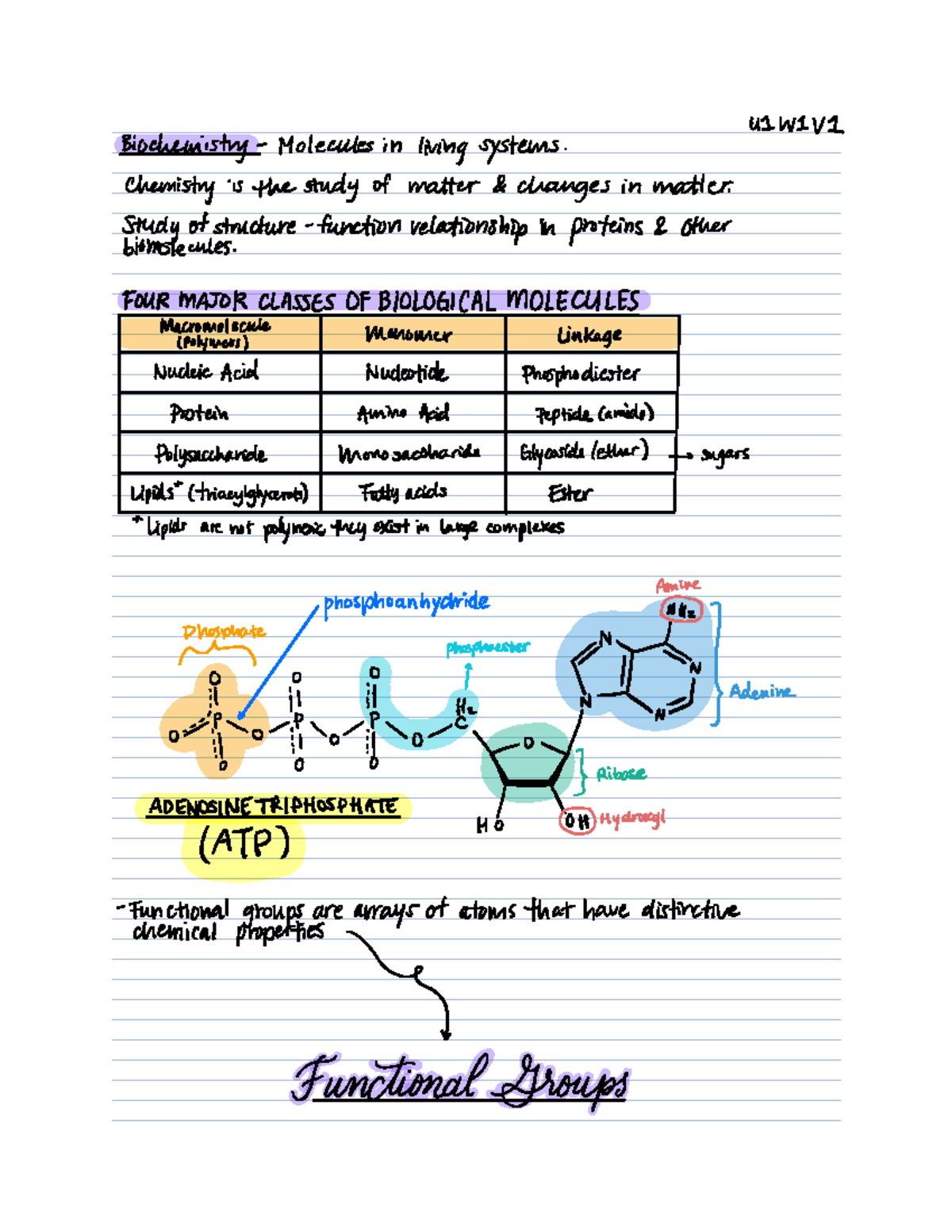 BCH369-Student Notes 1 - U1W1V Biochemistry Molecules in living systems ...