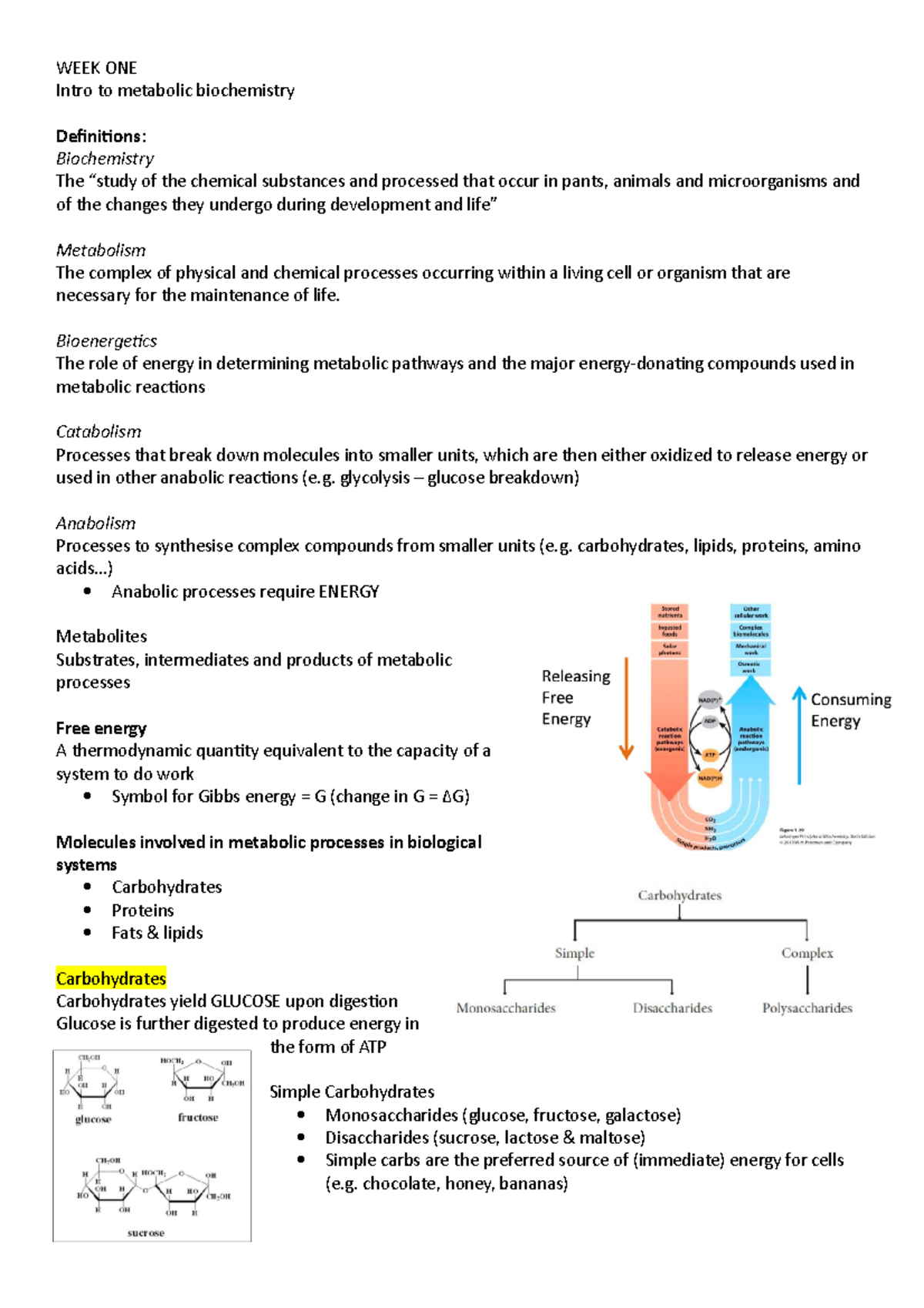 Metabolic biochemistry lecture week 1 - 091320 - Studocu