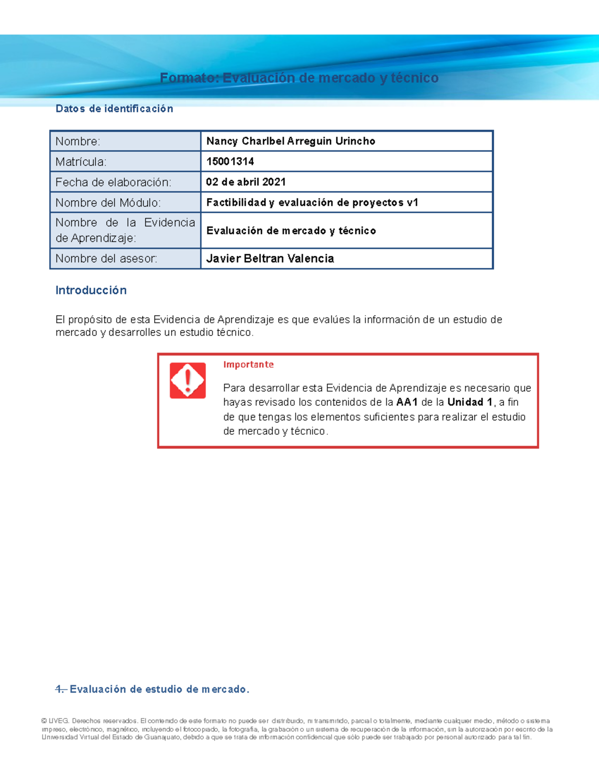 Nancy Arreguin Plan Agregado - Formato: Evaluación de mercado y técnico ...
