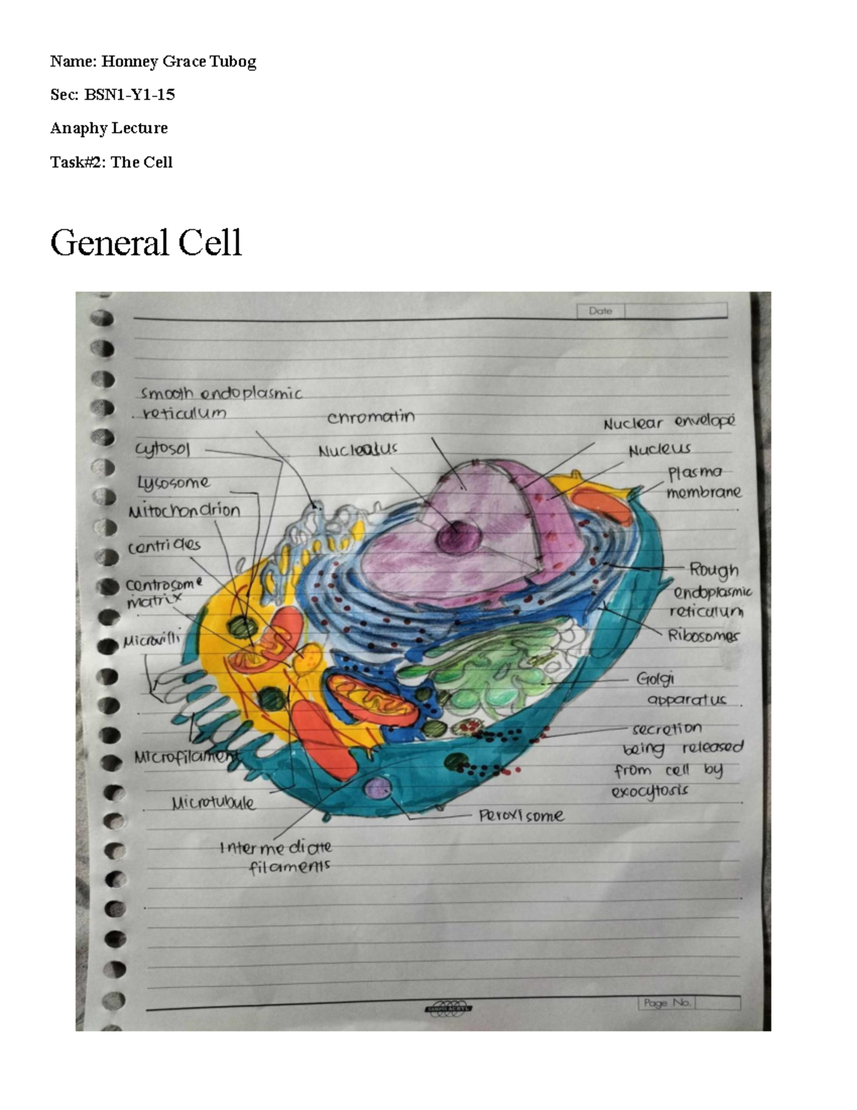 Inbound 792238122571529561 - Anatomy and Physiology - Name: Honney ...