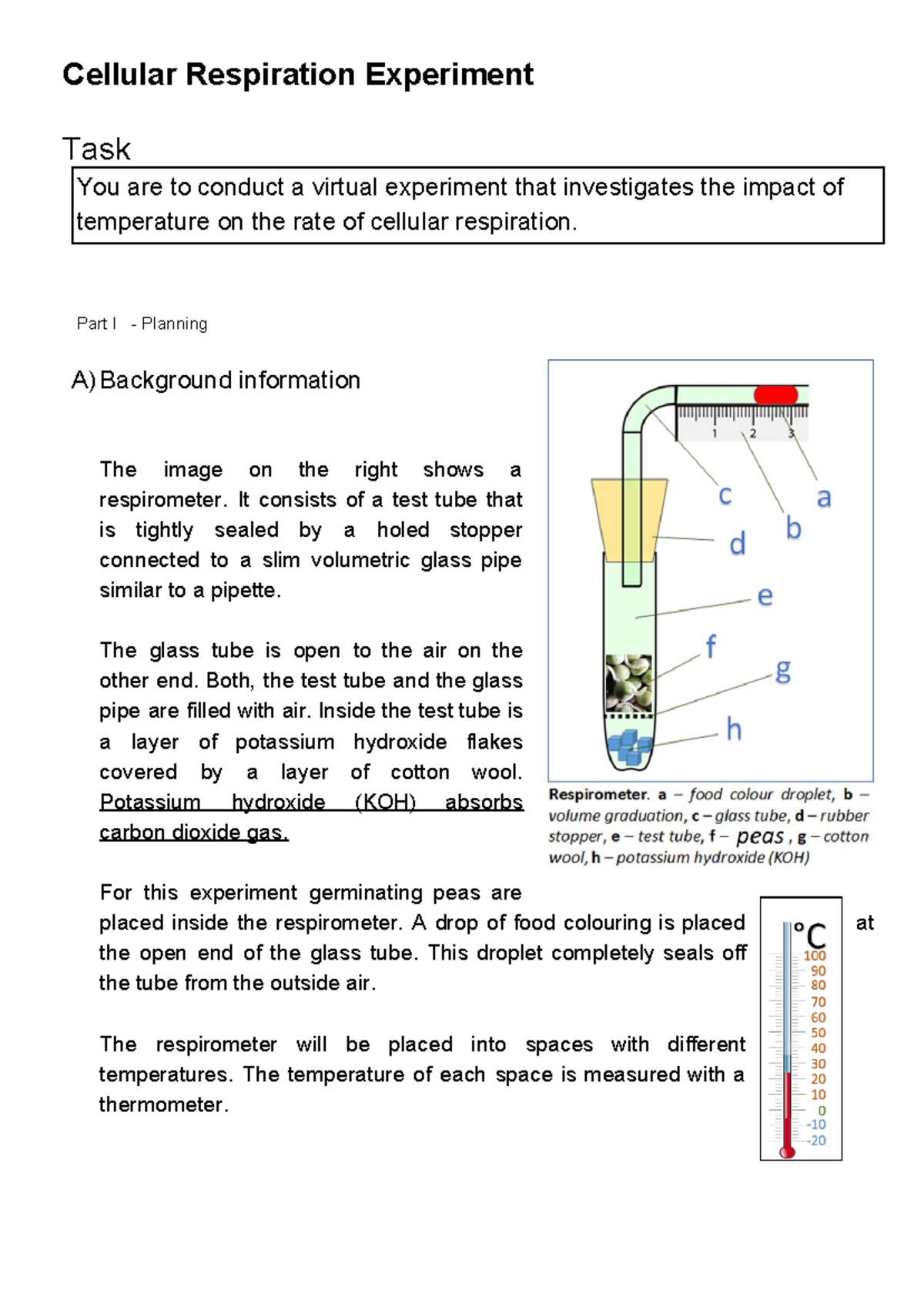 Biology - Cellular Respiration Worksheet (for Corresponding Virtual ...