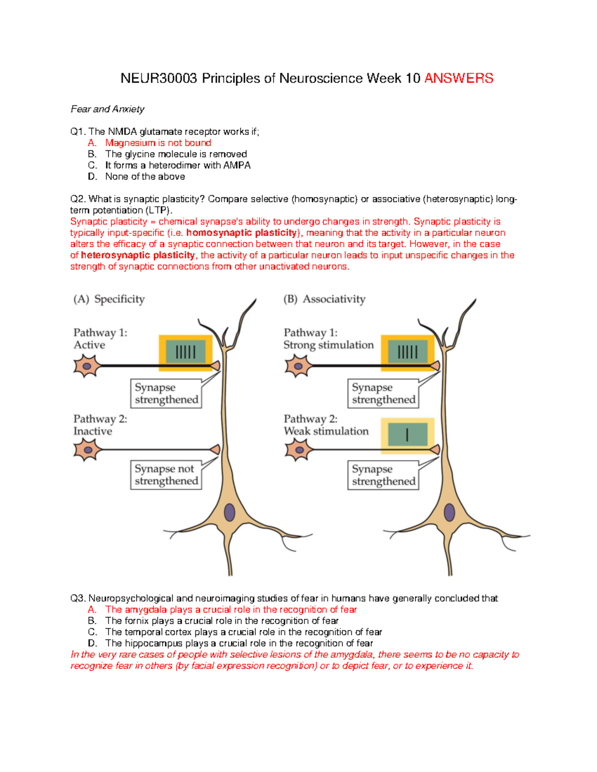 NEUR30003 Tutorial Week 10 Answers - NEUR30003 Principles of Neuroscience Week 10 ANSWERS Fear ...