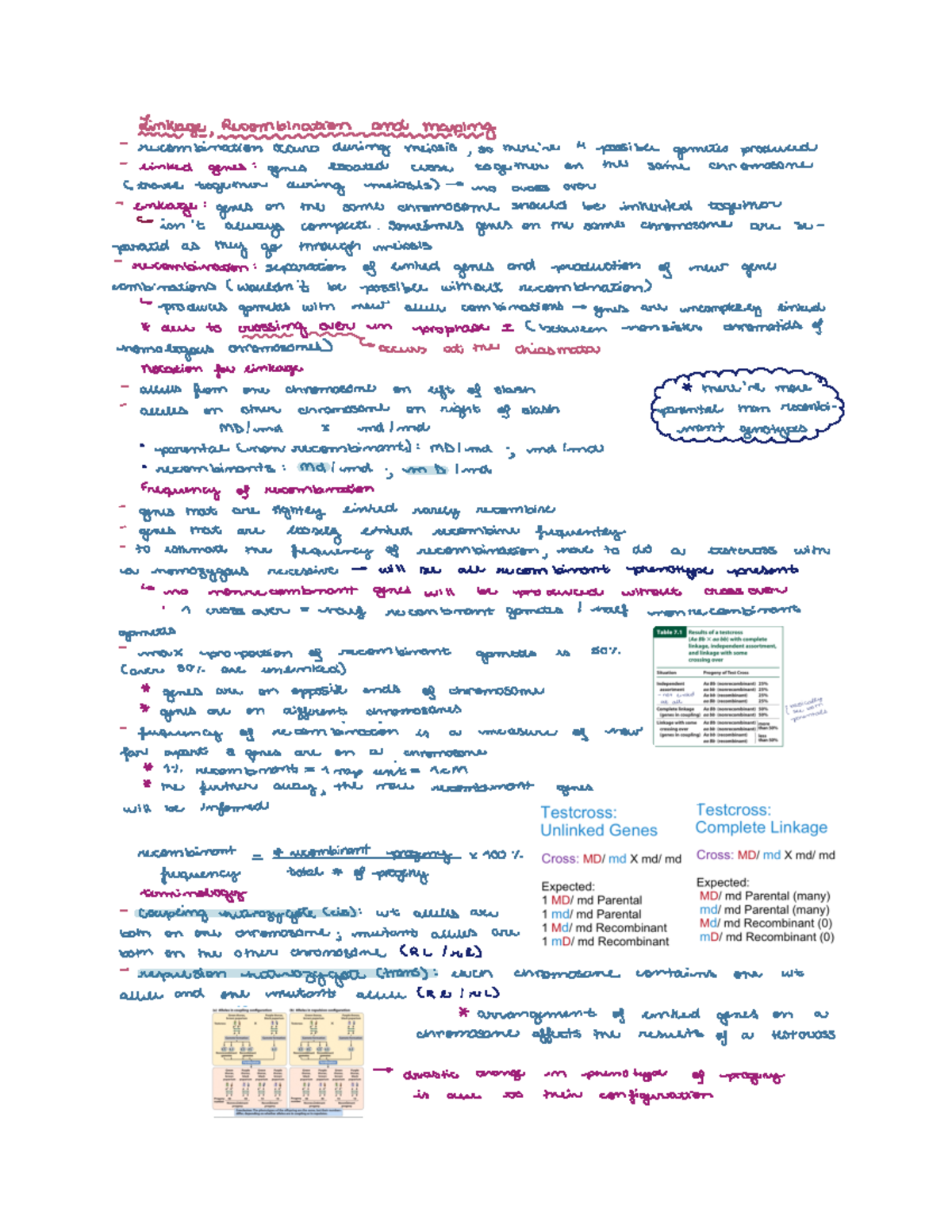 Linkage - detailed handwritten notes of linked genes - with examples ...