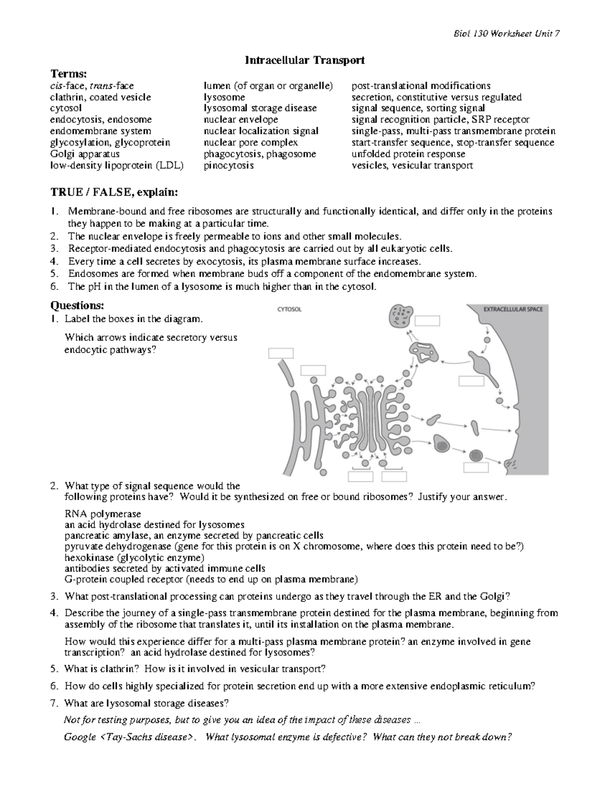 Worksheet Unit 7 - Intracellular Transport - Biol 130 Worksheet Unit 7 ... Worksheet Unit 7 - Intracellular Transport - Biol 130 Worksheet Unit 7 ...