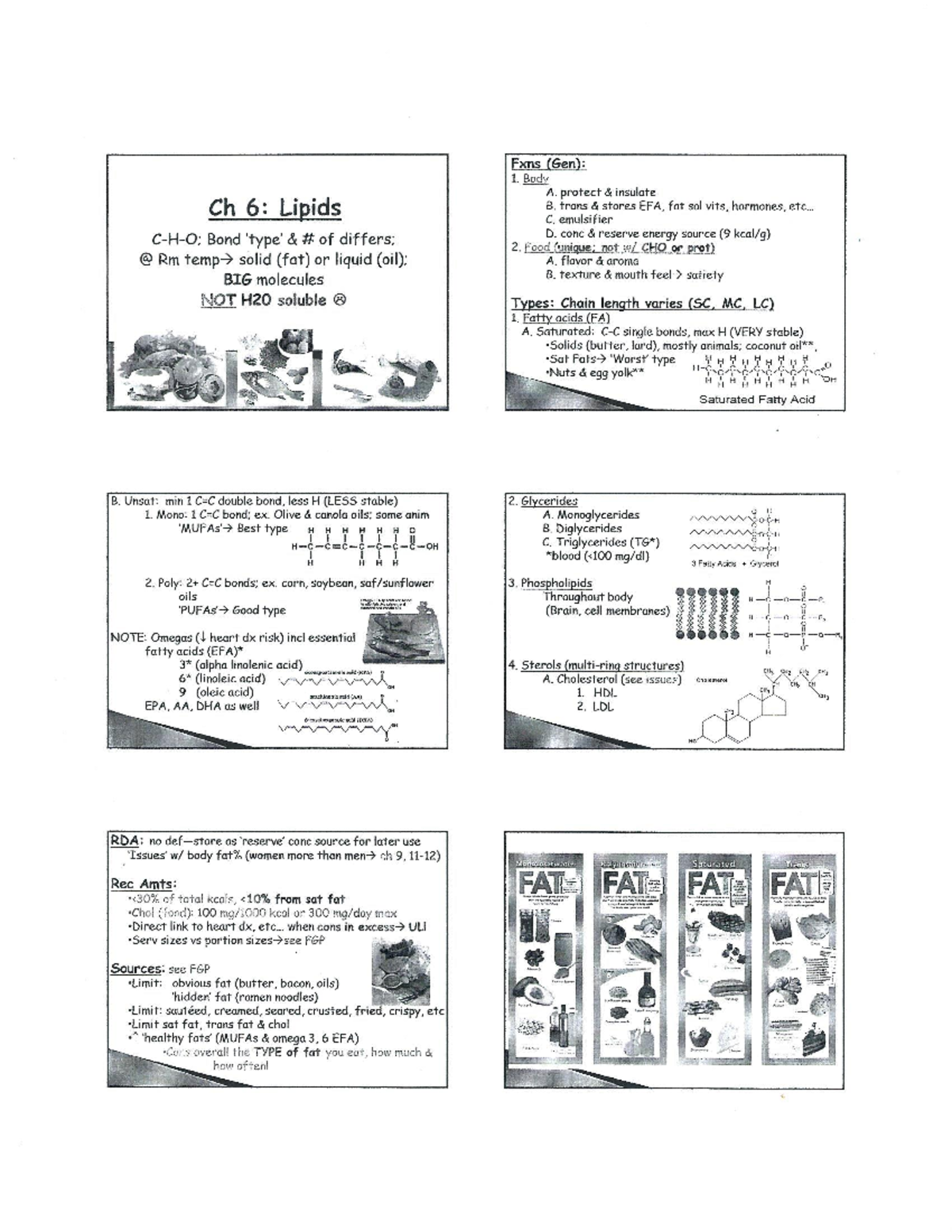 PP HO Ch 6 Lipids Fats Slides - HLHSCI-149 - Studocu