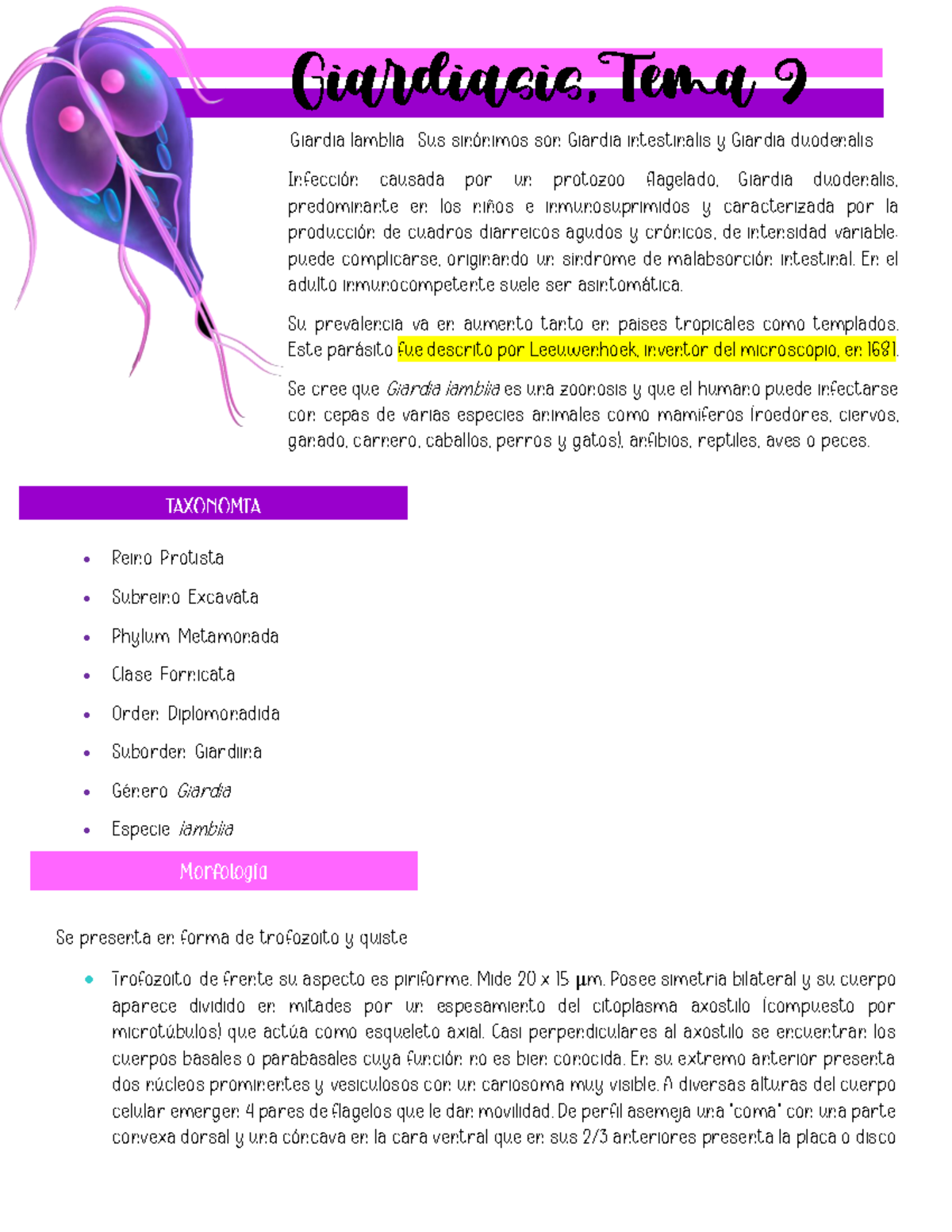 Giardiasis y otros parásitos - Reino: Protista Subreino: Excavata ...