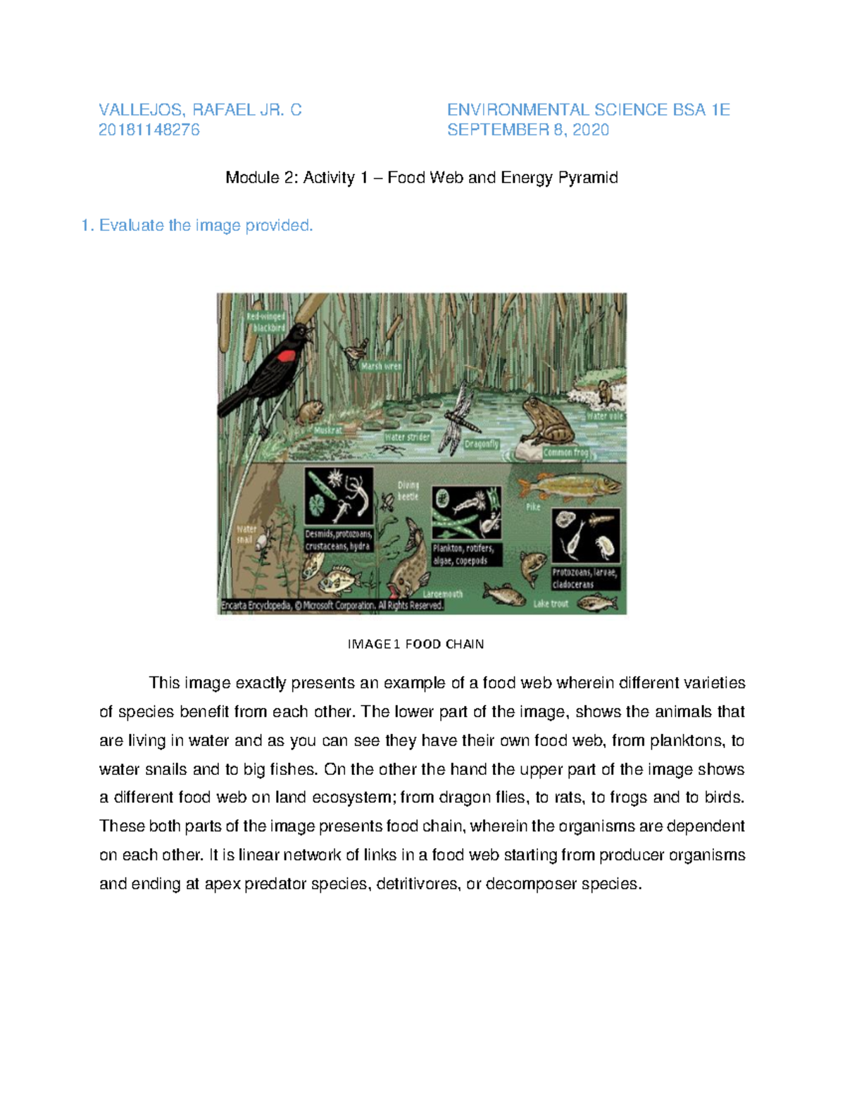 M2 Activity 1 Vallejos Rafael JR C - VALLEJOS, RAFAEL JR. C ...