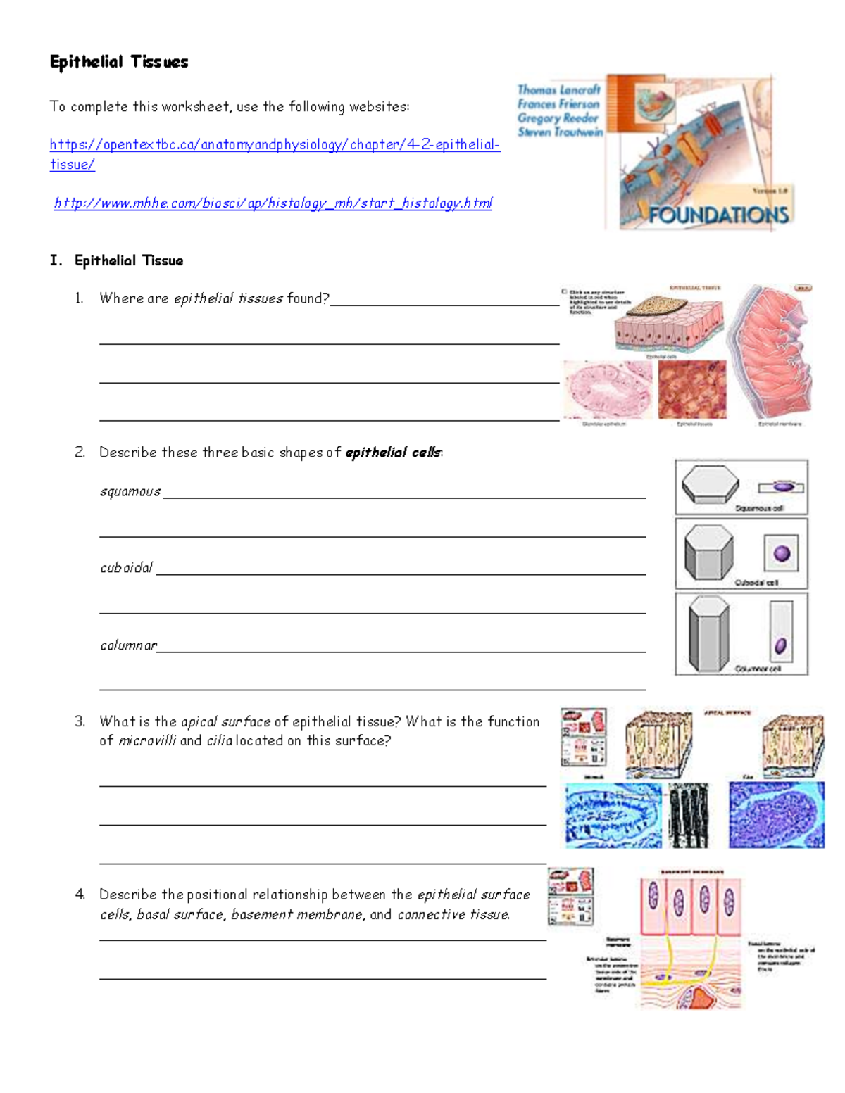 Epithelial-Online-Activity - Epithelial Tissues To complete this ...