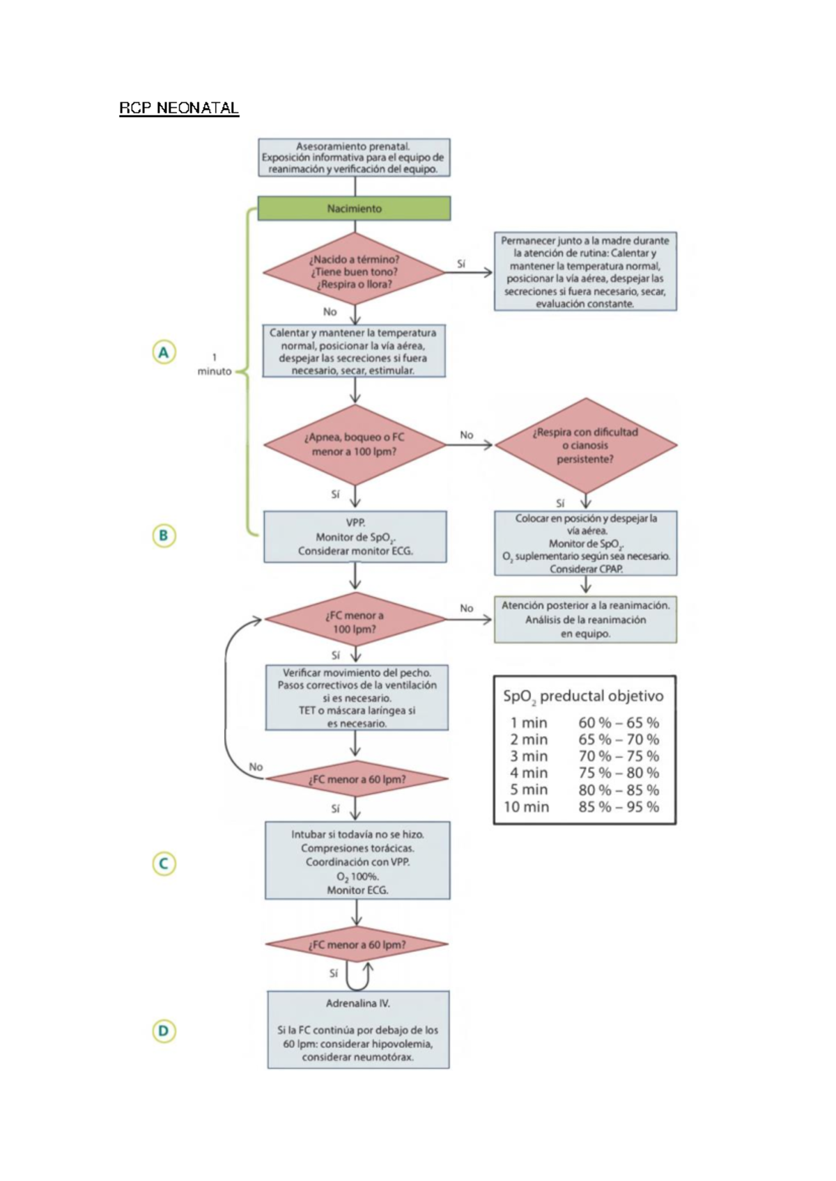 RCP neonatal 2 - RCP NEONATAL Líquido teñido de meconio y RN no ...