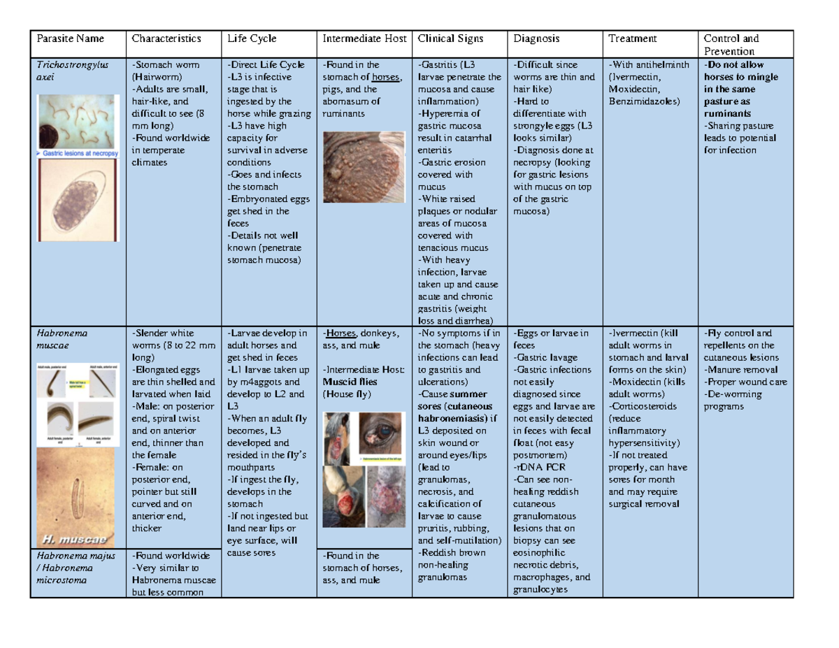 Equine Nematodes-2 - VM 607, Pathobiology II, is an eight-week course ...