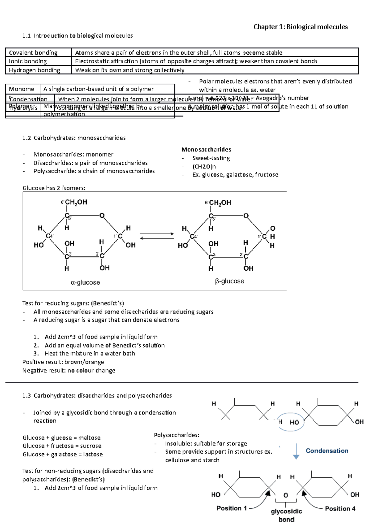 Introduction to biological molecule - A-Level Biology notes - 1 ...