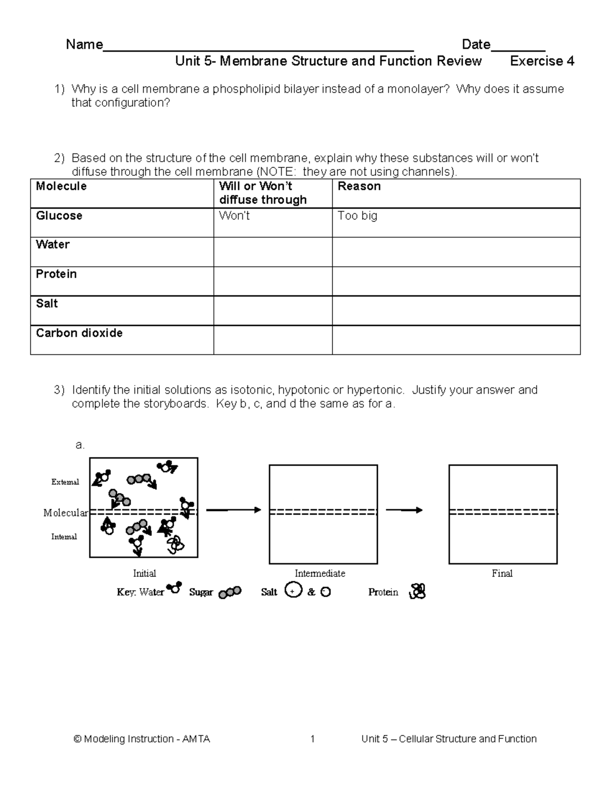15 Membrane Structure and Function Exercise 4 - Unit 5 - Membrane ...