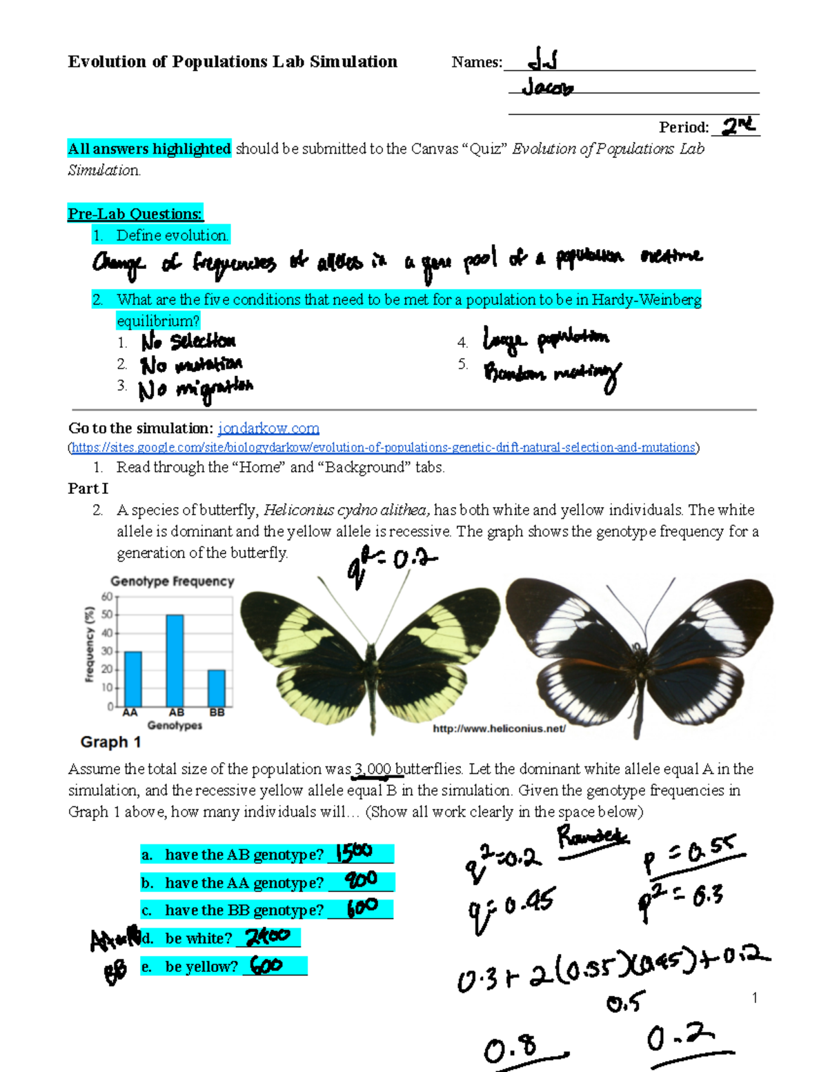 Evolution+of+Populations+Lab+Simulation - (YROXWLRQ RI 3RSXODWLRQV /DE ...