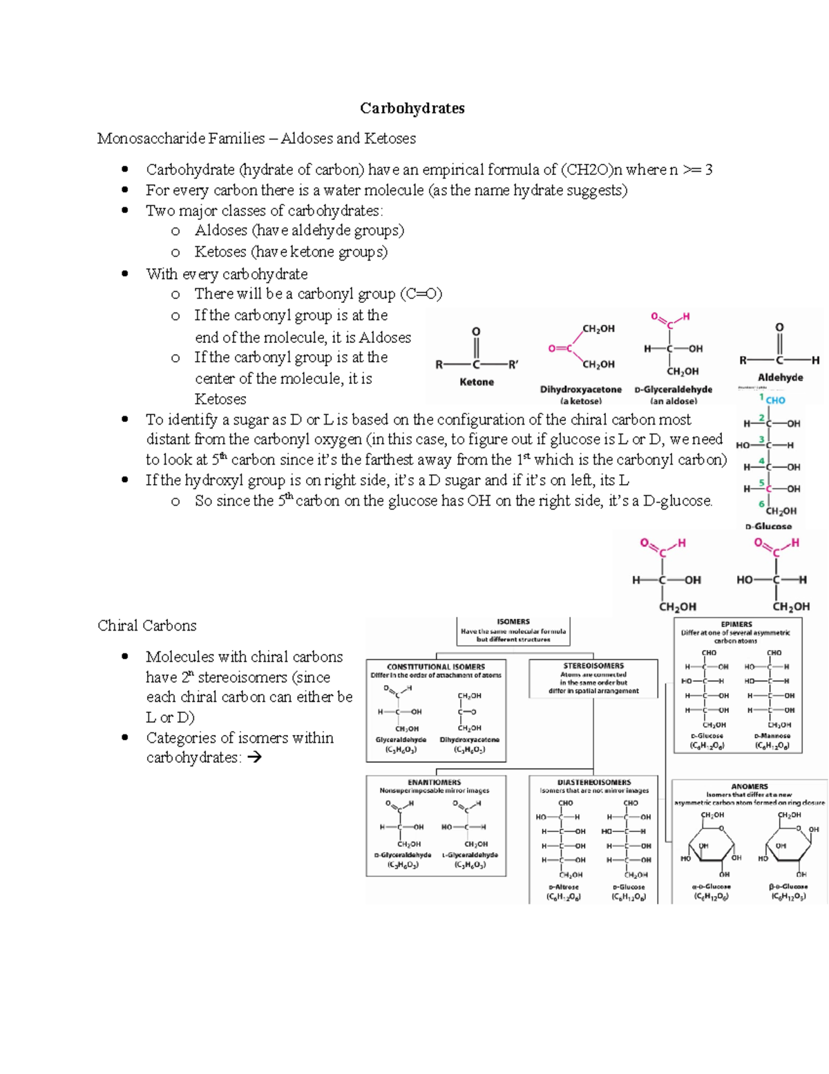 Chapter 7 - BMSC Notes Scott Napper - Carbohydrates Monosaccharide ...