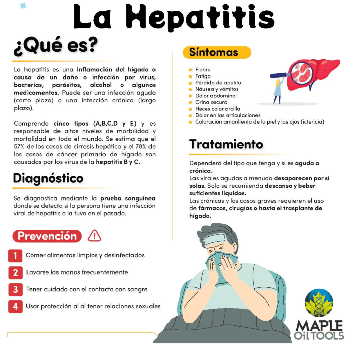 Bc6596da9433b95 Hepatitis - Las Enfermedades de la Piel. 21 - La ...