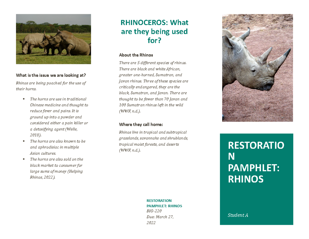 Restoration pamphlet - What is the issue we are looking at? Rhinos are ...
