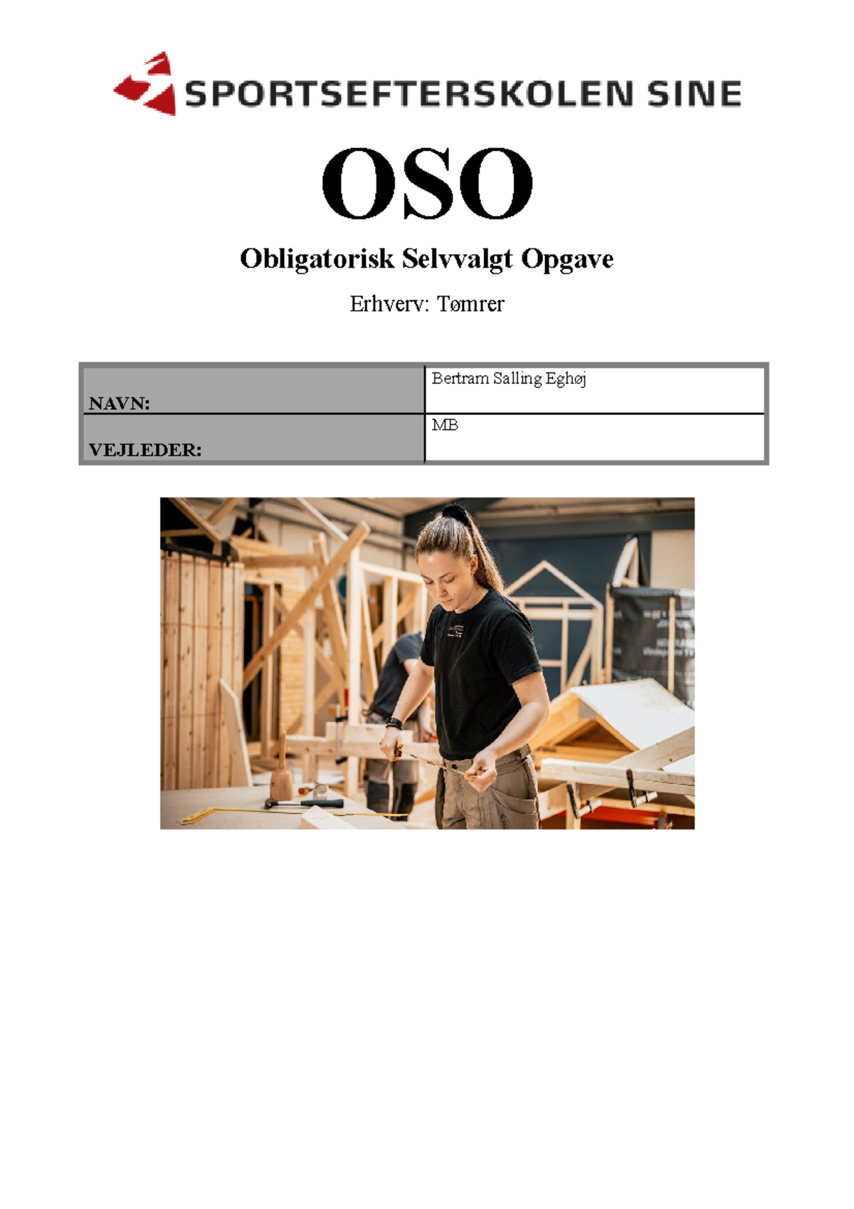 Synopse - OSO - Skabelon - OSO Obligatorisk Selvvalgt Opgave Erhverv ...