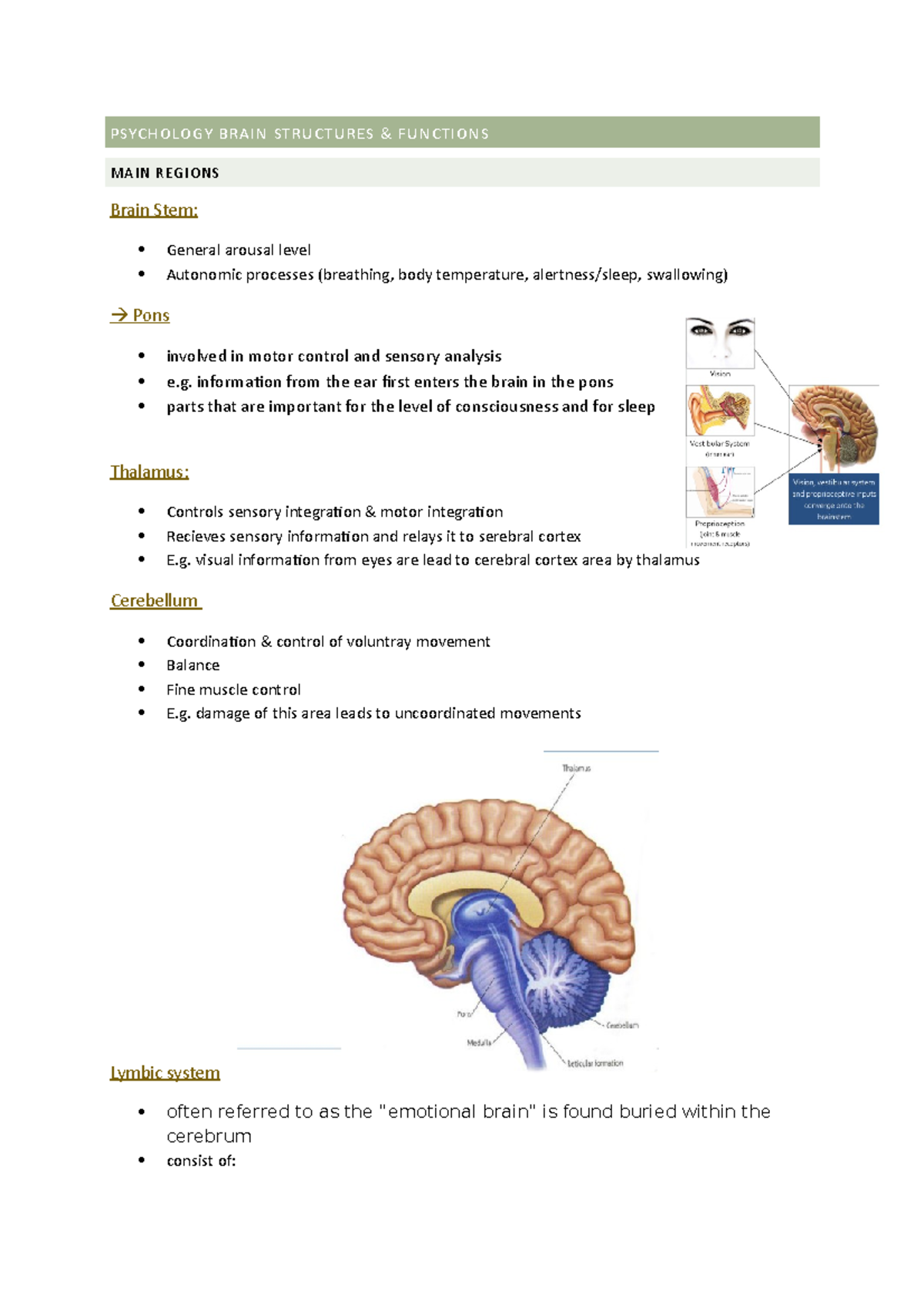Psychology Brain Structures - PSYCHOLOGY BRAIN STRUCTURES & FUNCTIONS ...
