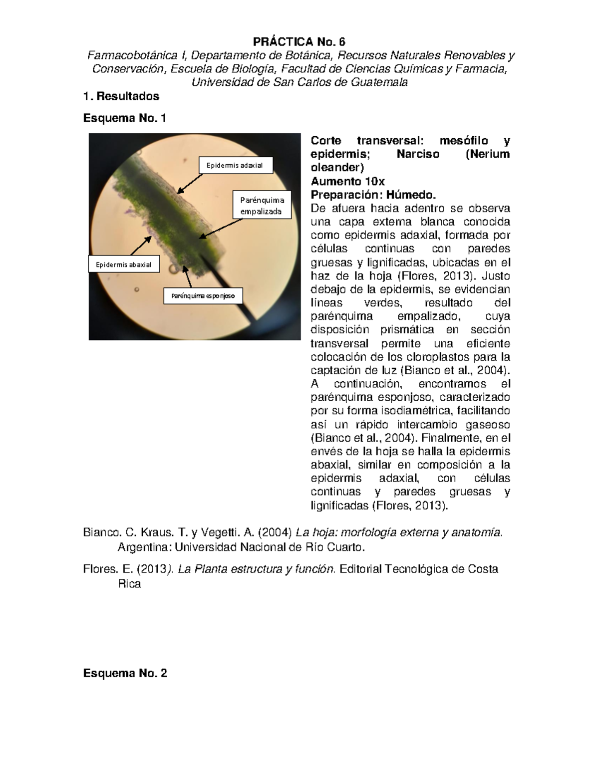 Farma 6 - Farmacobotánica I, Departamento de Botánica, Recursos ...