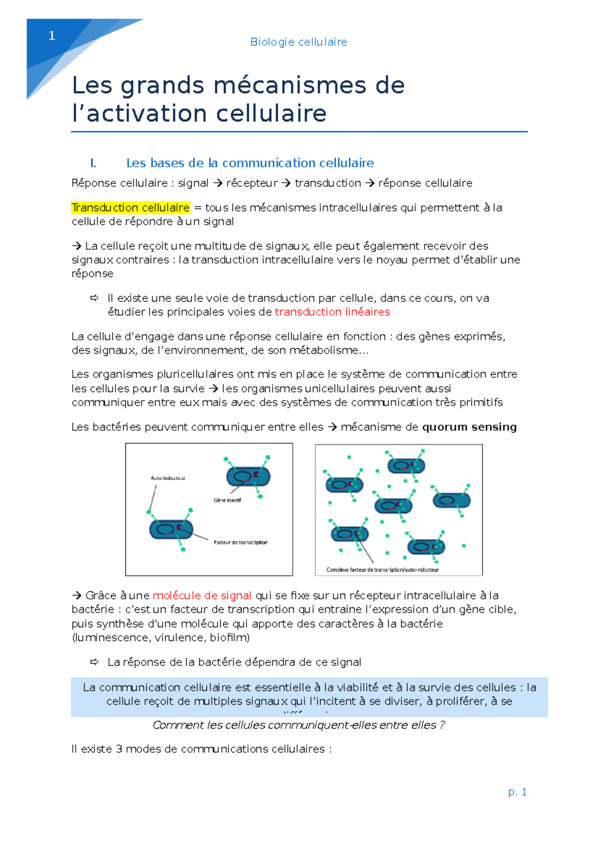 Signalisation cellulaire - Les grands mécanismes de l’activation ...