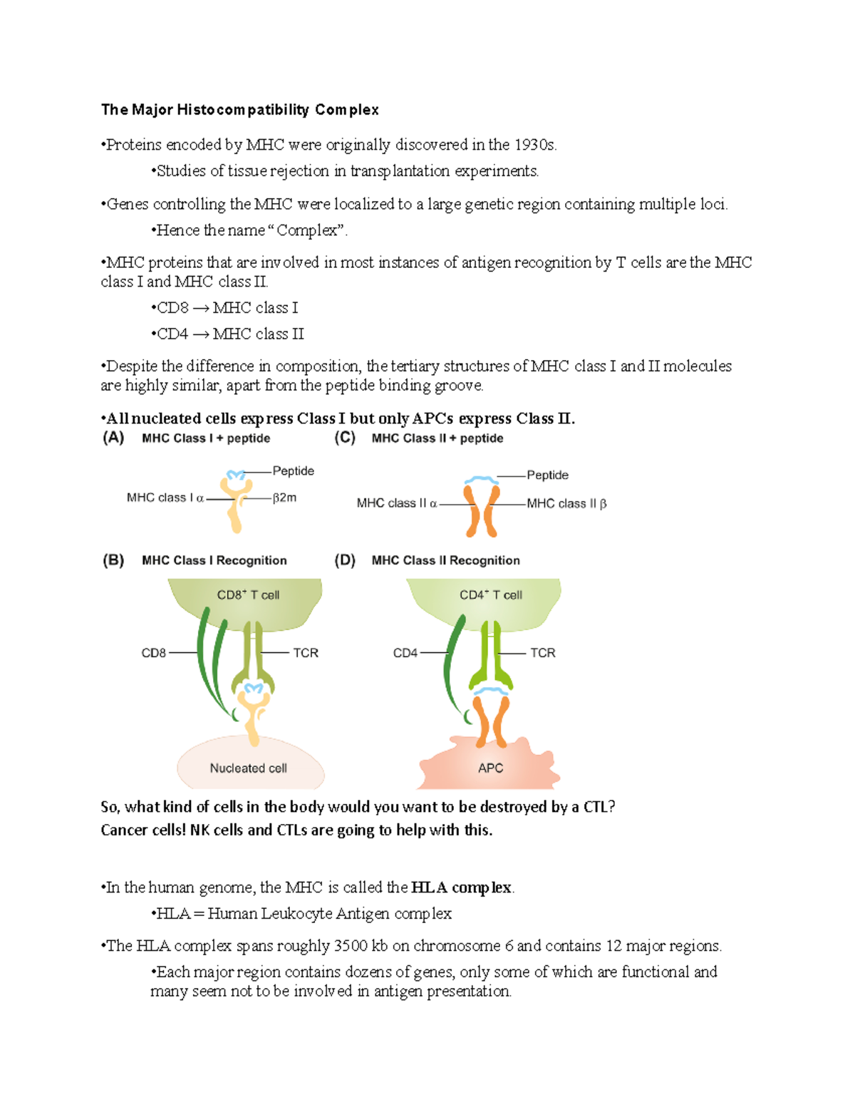 Immunobiology Exam 3 - The Major Histocompatibility Complex •Proteins ...