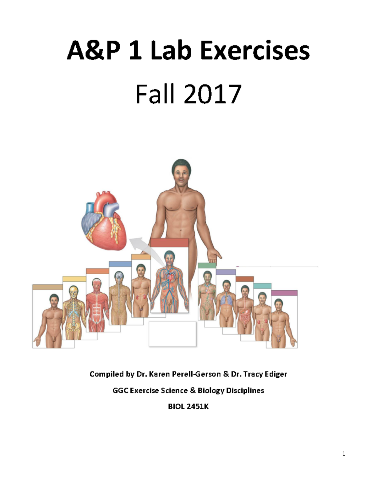 Lab Exercises Fall 2017 - Body Organization Terminology and Homeostasis ...